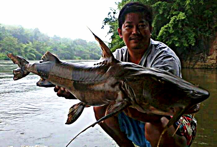 pescareinsiam – viaggi di pesca in Thailandia